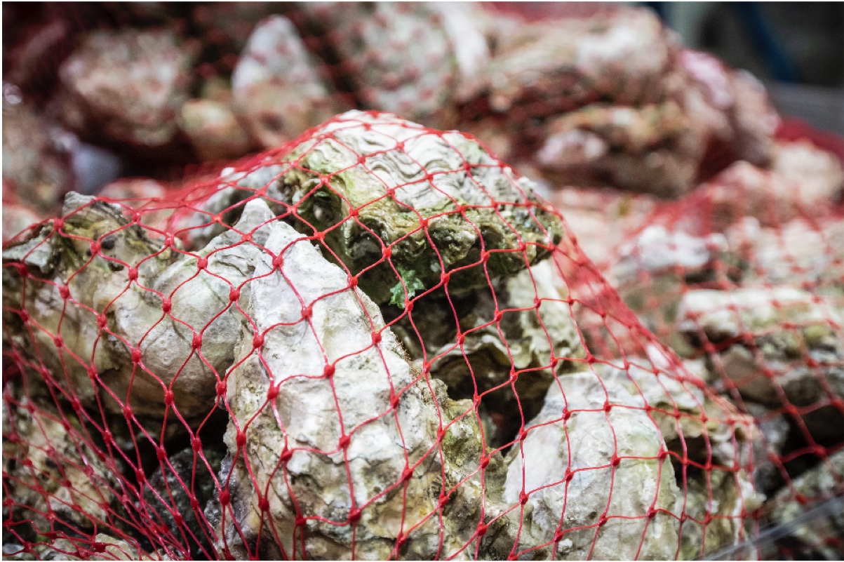 PBX Logistics Ltd. - We transport all refrigerated and frozen food ...