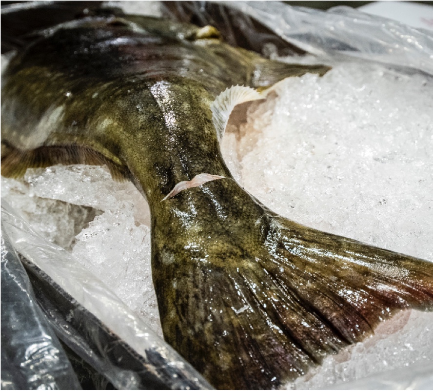 PBX Logistics Ltd. - We transport all refrigerated and frozen food ...